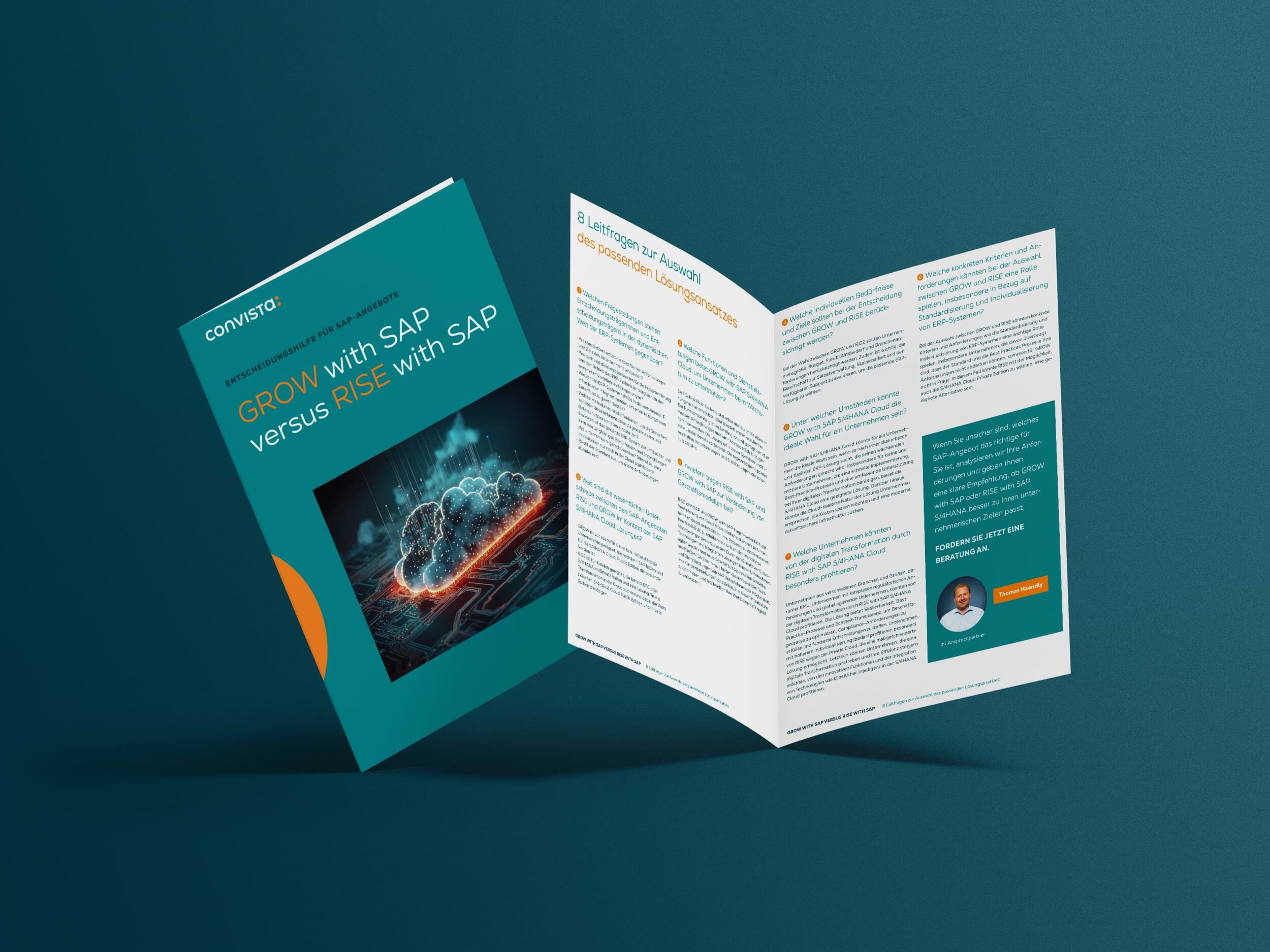 GROW with SAP vs RISE with SAP | Ein Vergleich