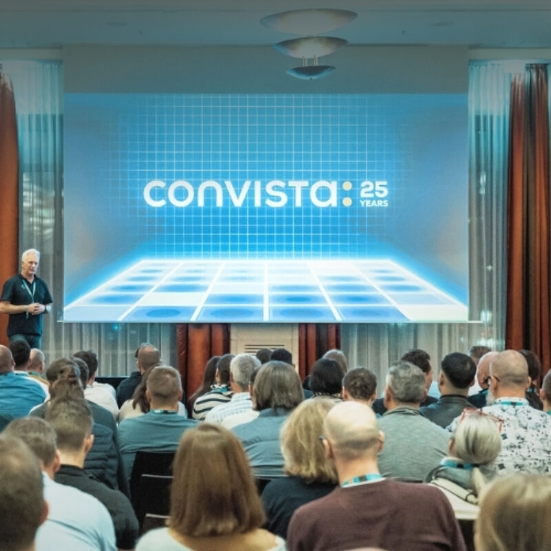 Convista:Summit 2024: professional exchange and carnival flair